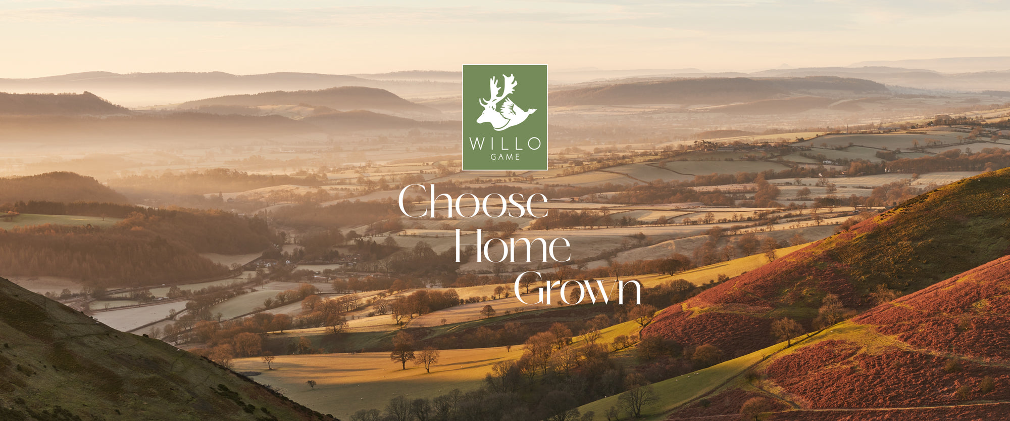 About Us – Willo Game