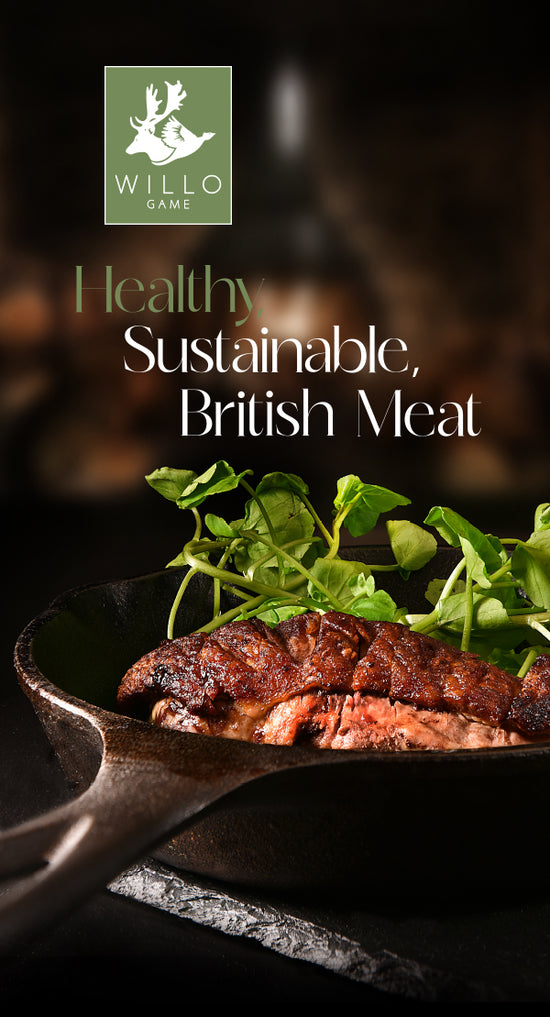 Premium Wild Game Meat UK - Venison, Pheasant, Wild Boar & More – Willo ...
